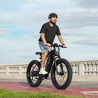 DYU C4 14 inch Foldable E-Bike – DYU USA